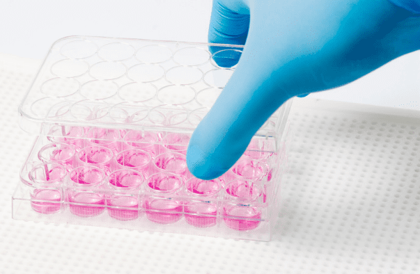 Heated Laboratory Water Bath | Temperature Controlled